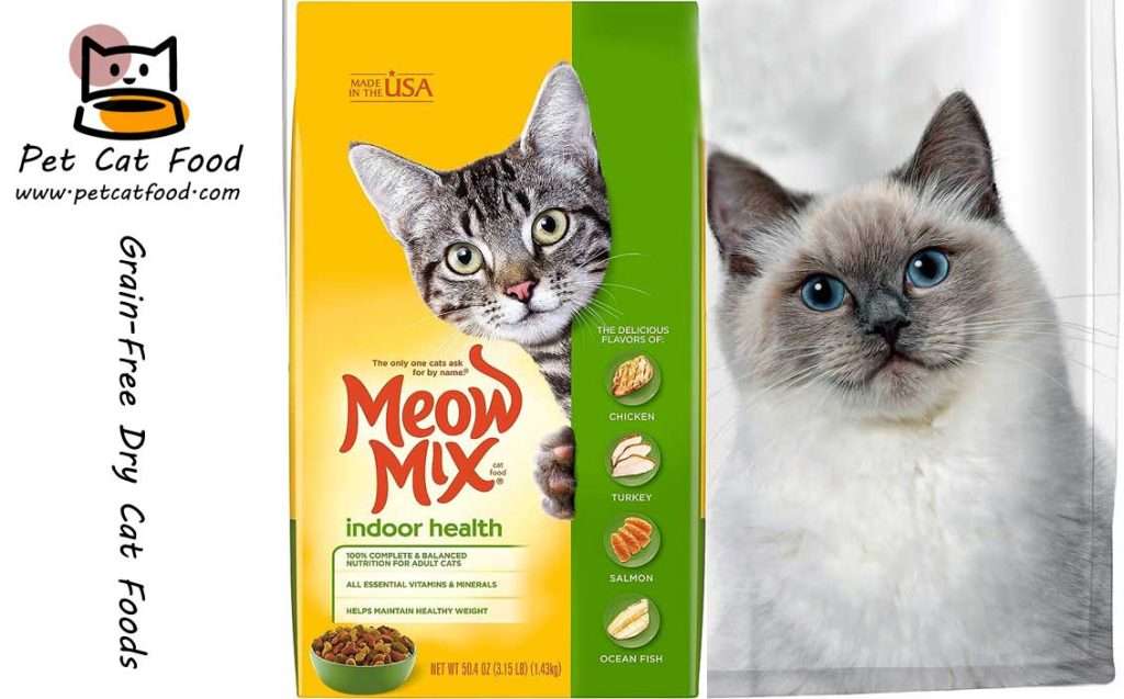 Best Dry Cat Foods for a Healthy Feline Diet - 2024